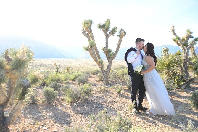 Red Rock Canyon Wedding by Private Limousine - FAQ