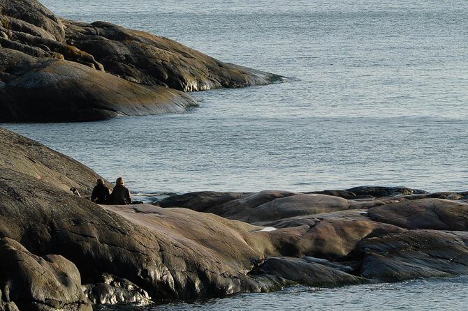 Redrib Helsinki Experience 2 - Review Highlights from Fellow Travelers