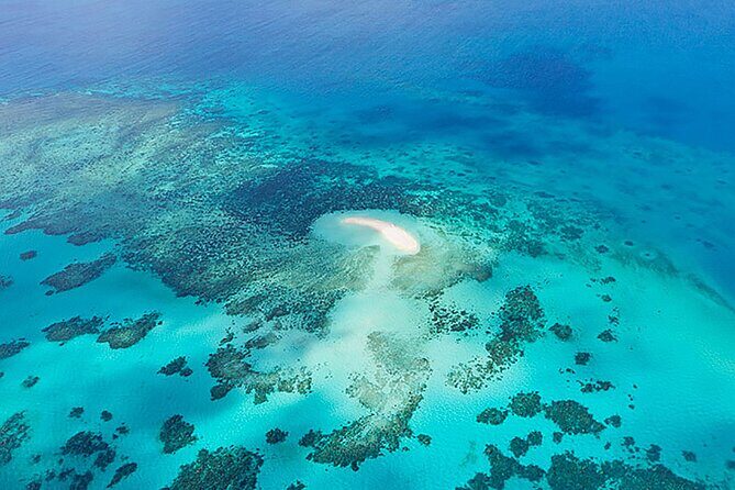 Reef and Rainforest 60 minute Scenic Flight - An In-Depth Look at the Scenic Flight