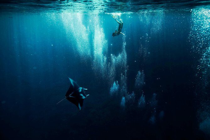 Reef Discovery Half Day Group Signature Tour - Why This Tour Might Be Perfect for You