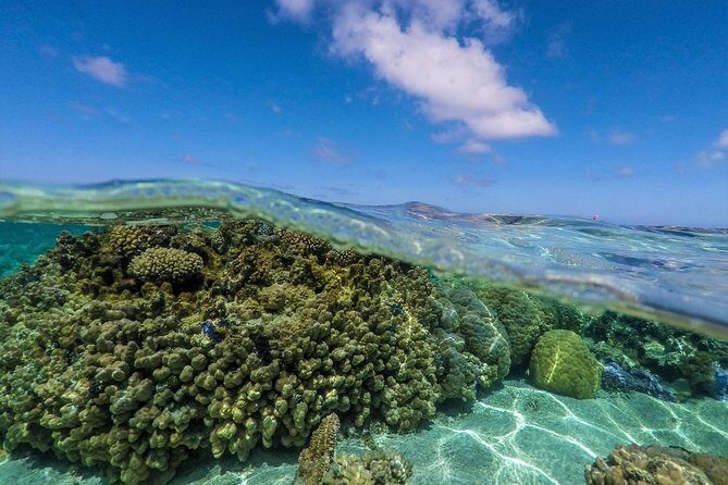 Reef Discovery Half Day Group Signature Tour - FAQ