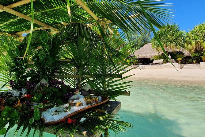 Reef Discovery Luxury Water Lunch Cruise - Analyzing Value and Cost