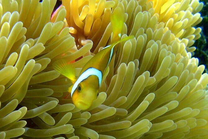 Reef Discovery Luxury Water Lunch Cruise - Final Thoughts