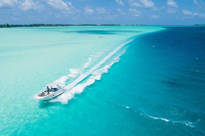 Reef Discovery Private Dream Day Tour - Exploring the Itinerary: What Makes This Tour Special