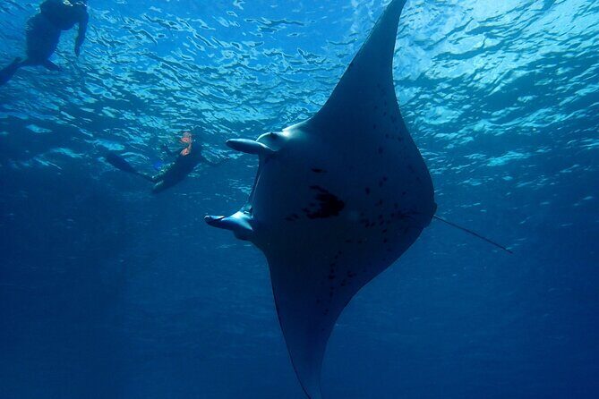 Reef Discovery Private Dream Day Tour - What’s Included and How It Adds Value