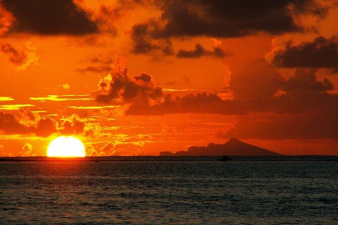 Reef Discovery Private Dream Day Tour - Final Thoughts: Who Should Book This Tour?