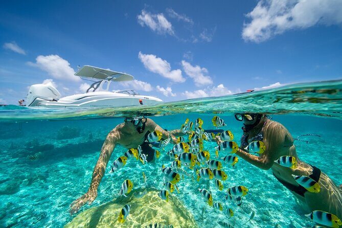 Reef Discovery Private Full Day Lagoon Tour & Motu Lunch - Authentic Experiences and Reviewer Insights