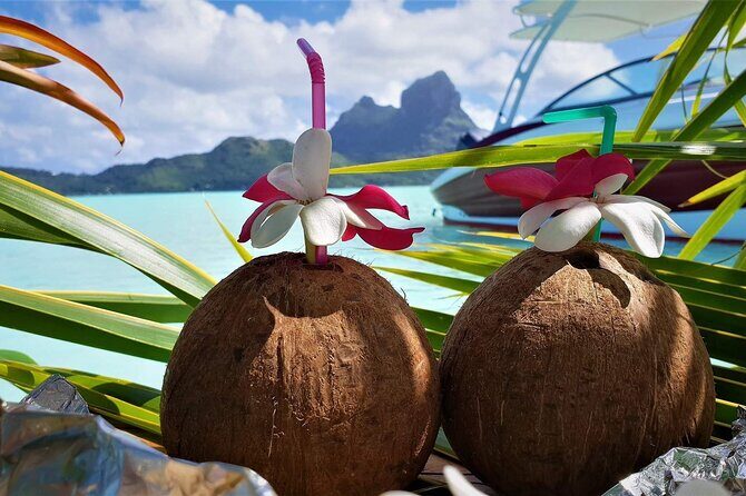 Reef Discovery Private Full Day Lagoon Tour & Water Lunch - Who Is This Tour Best For?