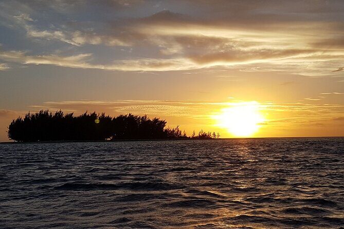 Reef Discovery Private Sunset Cruise in Bora-Bora - Final Thoughts