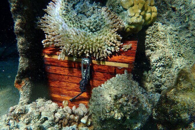 Reef Discovery Private Treasure Hunt - What’s the Value for Money?