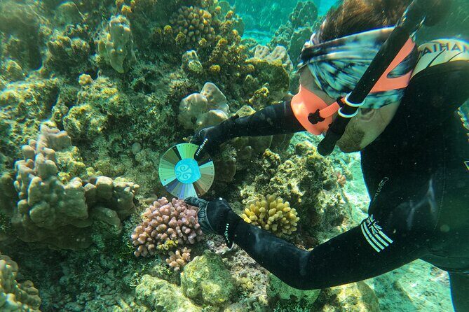 Reef Exploration with Reva Atea participatory science - The Experience in Detail