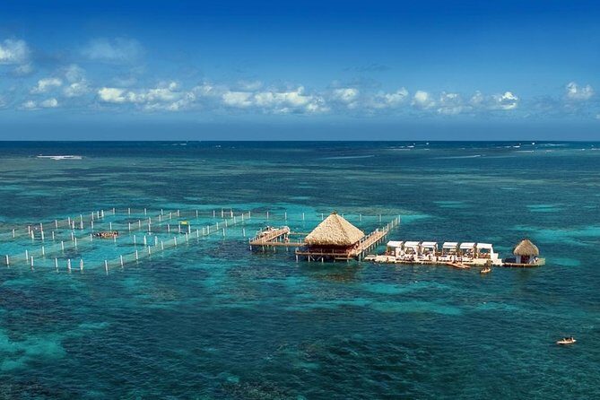 Reef Explorer Half Day Trip - Overall Experience and What to Expect