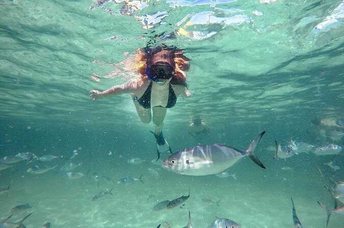 Reef Explorer Half Day Trip - Final Thoughts