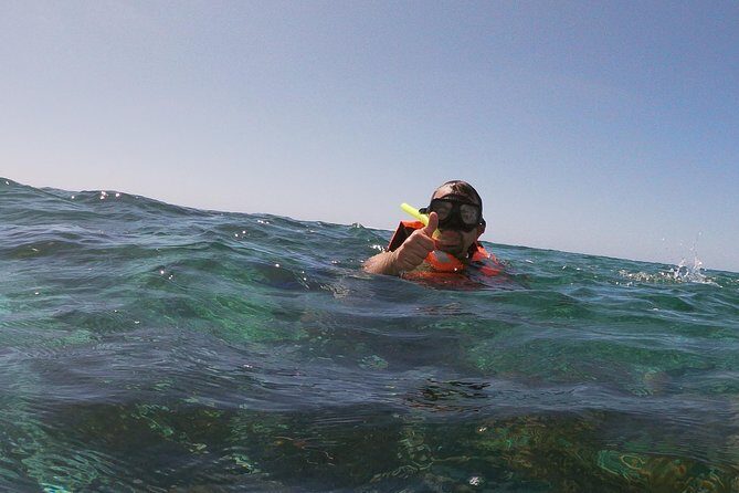 Reef Snorkel In National Park In Puerto Morelos With Lunch And Transportation - Authentic Insights from Reviewers