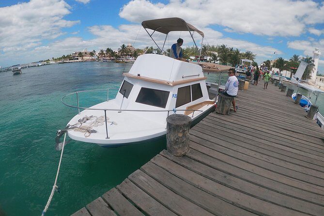 Reef Snorkel In National Park In Puerto Morelos With Lunch And Transportation - Who Should Consider This Tour?
