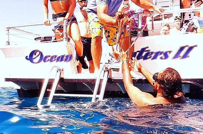 Reef Snorkel under the Captain Cook monument in Kealakekua Bay - Who Will Love This Tour?