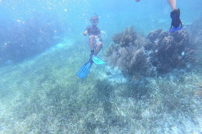 Reef Snorkel, underwater adventure in Puerto Morelos With Transportation & Lunch - FAQ