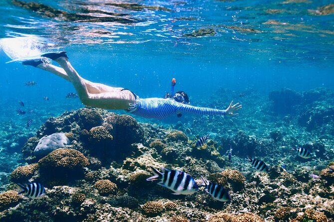 Reef Snorkeling with ATV, Zipline, Cenote that includes lunch and transportation - Practical Tips and Insights