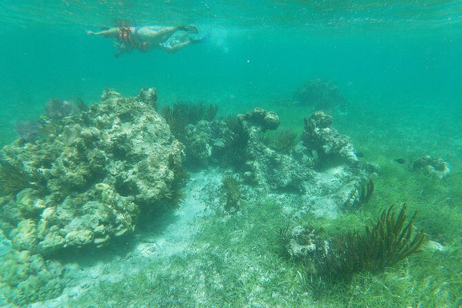 Reef Snorkeling with ATV, Zipline, Cenote that includes lunch and transportation - Final Thoughts