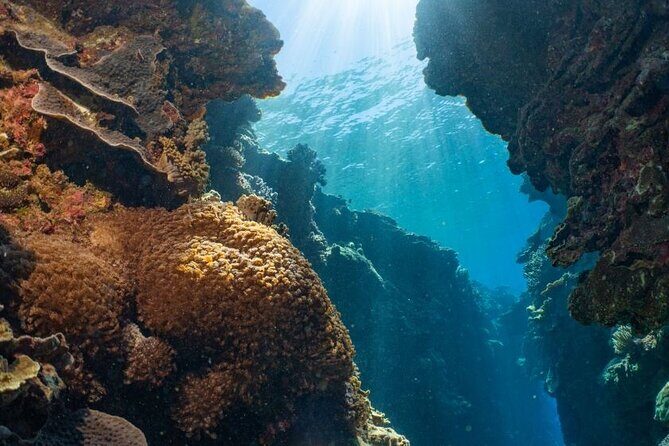 Reef Tour with SCUBA Dive from Cairns, pontoon with activities - The Itinerary in Detail