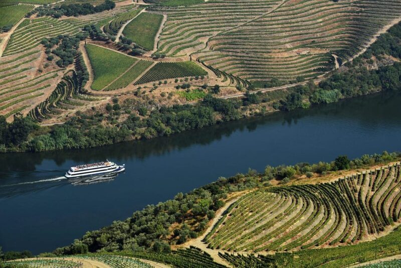 Régua: Wine tasting at a Quinta, traditional lunch, cruise, and train ride - Who Is This Tour Best For?