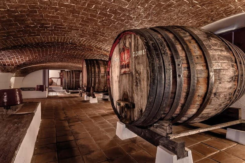 Reguengos de Monsaraz: José de Sousa Winery Tour and Tasting - A Closer Look at the José de Sousa Winery Tour