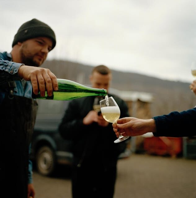 Reil, Mosel: Guided organic wine tasting and cellar tour - Key Points