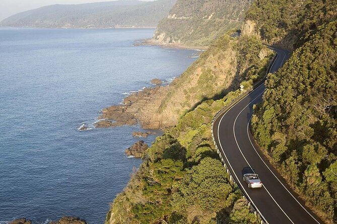 Reimagined Great Ocean Road 1-Day Tour from Melbourne - Who Would Love This Tour?