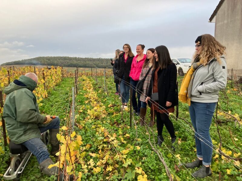 Reims/Epernay: Champagne Day Tour with Tastings - Reims/Epernay: Champagne Day Tour with Tastings – A Balanced Look at a Sparkling Experience