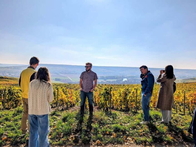 Reims: Moët & Chandon and Family-Run Winery Day Tour & Lunch - Key Points  