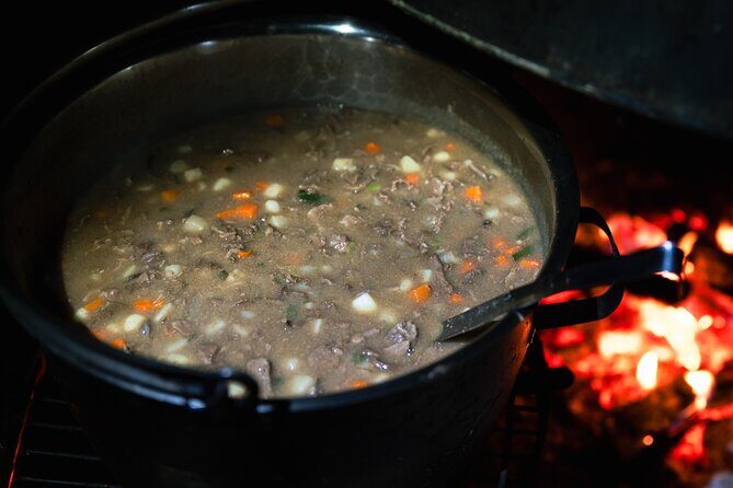 Reindeer Camp Dinner with Chance of Northern Lights in Tromso - Who Would Love This Tour?