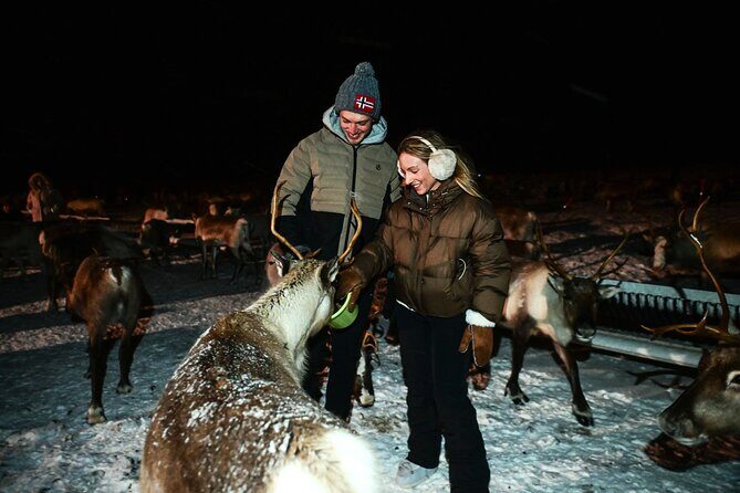 Reindeer Camp Dinner with Chance of Northern Lights in Tromso - FAQs