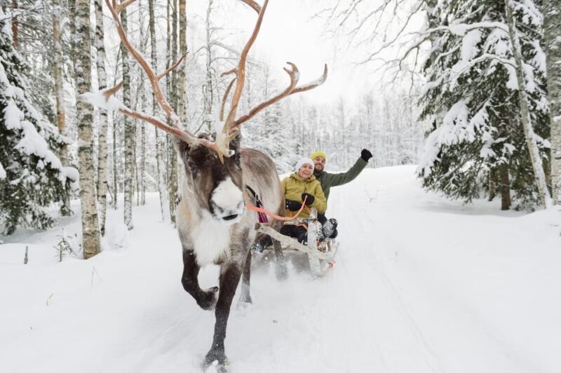 Reindeer Farm Visit with Sleigh Ride - FAQ
