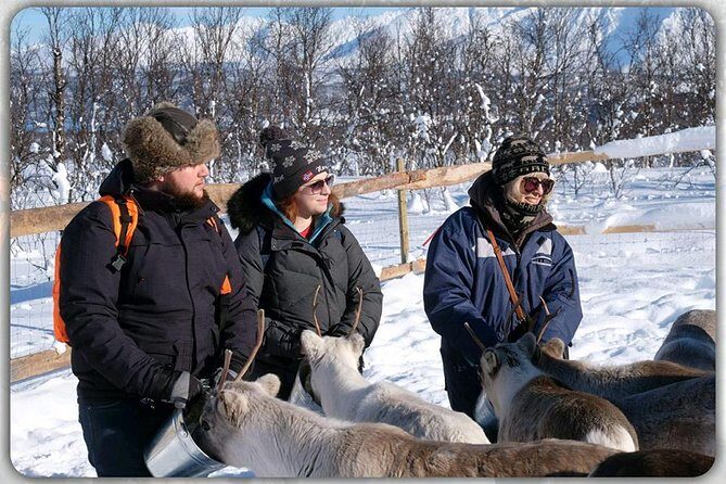 Reindeer feeding & Saami Culture - FAQ