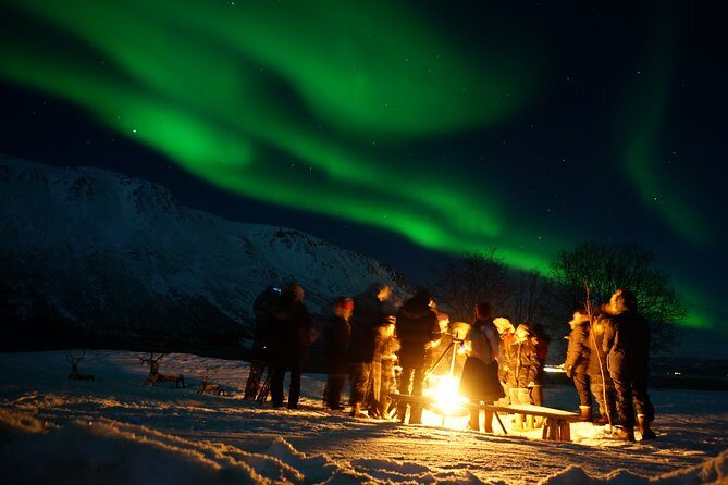 Reindeer feeding & Saami Culture with chance for Northern Lights - Key Points