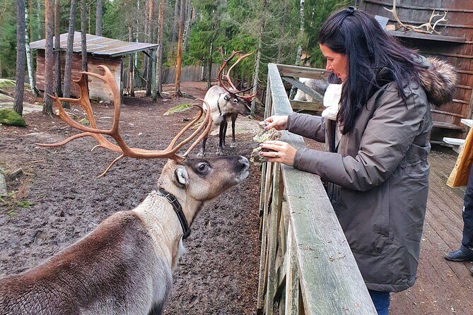 Reindeer Park Adventure - Exploring the Itinerary: What You Can Expect