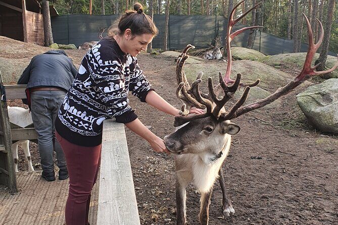 Reindeer Park Adventure - Who Will Love This Tour?