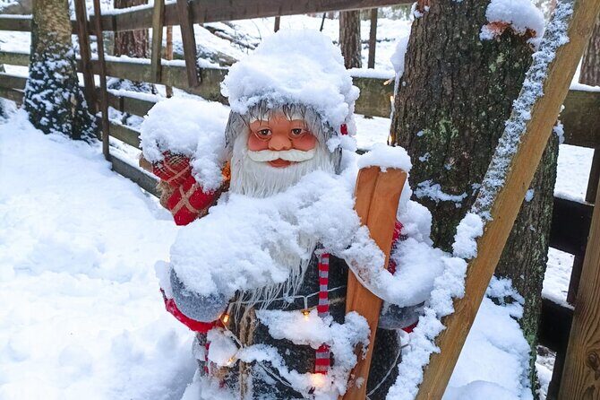 Reindeer Park & Horse Stables Safari - Key Points