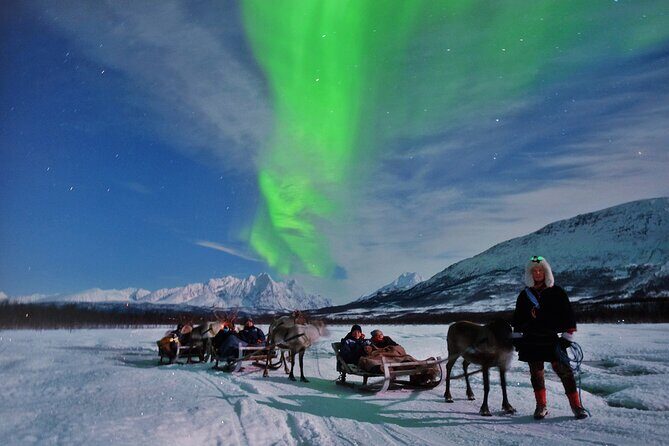 Reindeer Sledding and Feeding with Chance of Northern Lights Tromso - The Itinerary in Detail