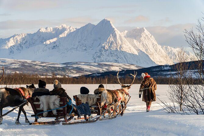 Reindeer Sledding and Feeding with Sami Culture in Tromso. - Analyzing the Value