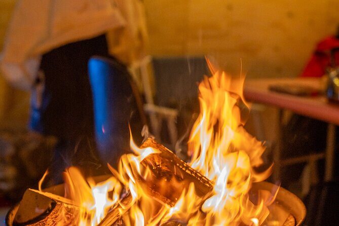 Reindeer Sledding, Feeding And Sami Culture At Reindeer Farm - Reindeer Sledding, Feeding, and Sami Culture at a Reindeer Farm: An Authentic Arctic Adventure