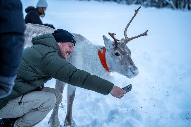 Reindeer Sledding, Feeding And Sami Culture At Reindeer Farm - Final Thoughts