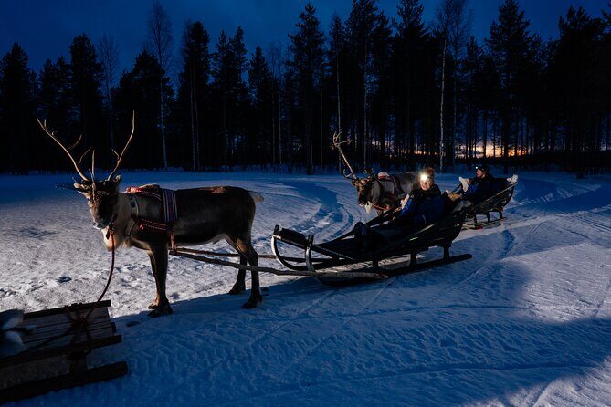 Reindeer Sleigh Ride Across the Night in Apukka Resort Rovaniemi - The Experience Breakdown