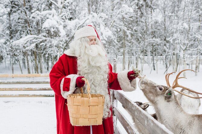 Reindeer Sleigh Ride and Farm Experience from Rovaniemi - An In-Depth Look at the Reindeer Sleigh Ride and Farm Experience