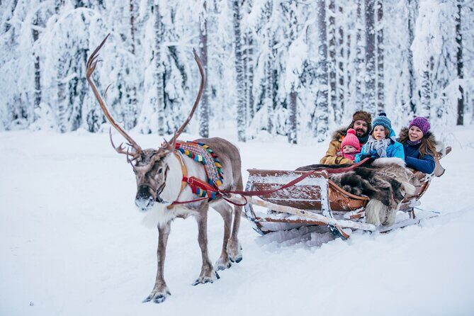 Reindeer Sleigh Ride and Farm Experience from Rovaniemi - Practical Tips for Your Visit