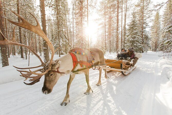 Reindeer Sleigh Ride and Farm Experience from Rovaniemi - Final Thoughts