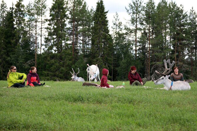 Reindeer yoga - The Sum Up: Is Reindeer Yoga Worth It?