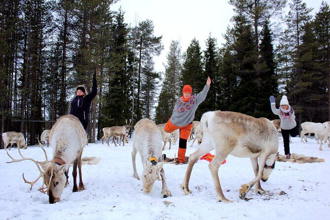 Reindeer yoga - FAQ: Reindeer Yoga