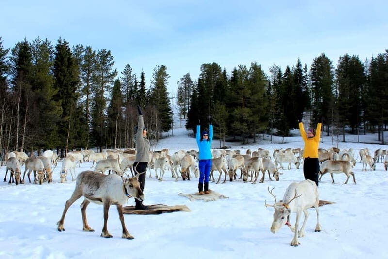 Reindeer yoga in Kuusamo - Final Thoughts