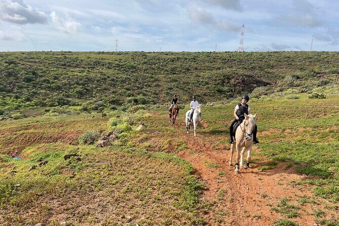 Relaxing Horse Riding Tour in Gran Canaria - What to Expect from the Horse Riding Experience